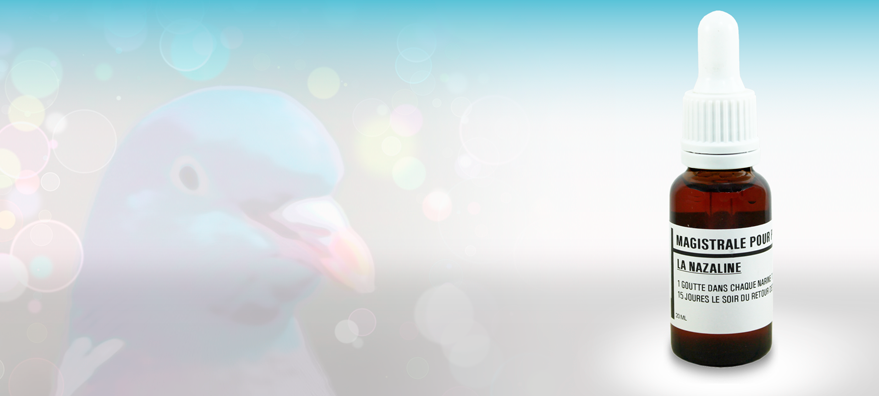 Mercasystems US: Pigeons Products and Pigeon Supplies online US store